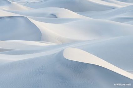 12 Great Photographs By William Neill - John Paul Caponigro