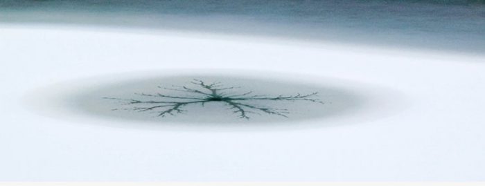 12 Great Photographs By William Neill - John Paul Caponigro